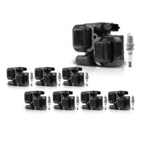 China 8x Black Ignition Coil & 16x IRIDIUM Spark Plug Kits for Mercedes-Benz CL500 CLK430 for sale