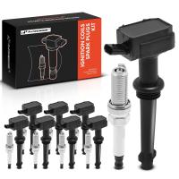 China 8x Black Ignition Coil & IRIDIUM Spark Plug Kits for Land Rover Range Rover for sale