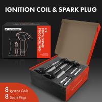 China 8x Black Ignition Coil & IRIDIUM Spark Plug Kits for Ford F-150 Mustang 2016-2017 for sale