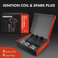 China 6x Black Ignition Coil & IRIDIUM Spark Plug Kits for Honda Accord 00-02 Acura for sale