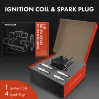 China 1x Black Ignition Coil & 4x IRIDIUM Spark Plug Kit for Ford Fiesta 2011 2013-2019 for sale