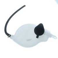 China Engine Coolant Expansion Tank with Cap & Hose for Dodge Journey 2009-2020 2.4L for sale