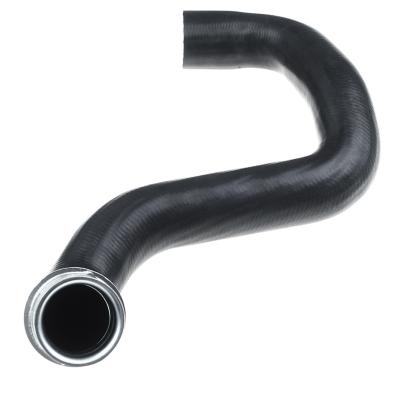 China Lower Radiator Coolant Hose for Mercedes-Benz W211 E500 2003-2006 CLS500 V8 5.0L for sale