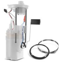 China Fuel Pump Assembly for BMW X5 E70 2007-2010 L6 3.0L for sale
