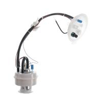 China Fuel Pump Assembly for BMW 5 Series F10 528i l6 3.0L 2011 for sale