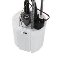 China Fuel Pump Assembly for Ford F-150 2017-2020 V6 3.5L Flex & Gas Type for sale