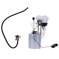 China Fuel Pump Assembly for Volkswagen Passat 2012-2014 L5 2.5L for sale