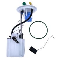 China Fuel Pump Assembly for Ford F-150 2015-2017 V6 3.5L 5.0L Flex for sale