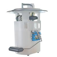 China Fuel Pump Assembly for Hyundai Elantra California 2003 for sale