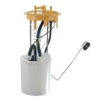 China Fuel Pump Assembly for Volkswagen Passat B7 2012-2015 L4 2.0L for sale