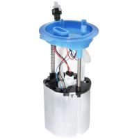 China Fuel Pump Assembly for Audi TT Quattro 2012-2013 2.0L Petrol for sale