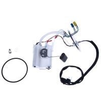 China Fuel Pump Assembly for Ford Taurus 1999 V6 3.0L Flex for sale