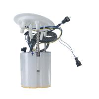 China Fuel Pump Assembly for Audi A6 Quattro V8 4.2L 2005-2007 for sale