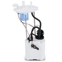 China Fuel Pump Assembly for Ford F-150 2012-2014 3.5L 4WD AWD for sale