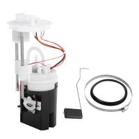 China Fuel Pump Assembly for BMW X5 2010-2018 X6 2008 2009-2019 GAS for sale