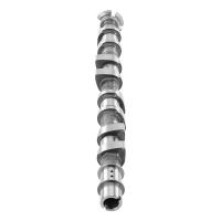 China Intake Engine Camshaft for Chevrolet Aveo 2010-2011 Aveo5 2010-2011 Pontiac 1.6L for sale