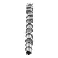 China Exhaust Engine Camshaft for Chevrolet Aveo 2010-2011 Aveo5 2010-2011 Pontiac G3 for sale