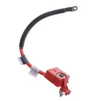 China Positive Battery Cable for BMW E70 X5 2007-2013 E71 X6 2008-2014 for sale