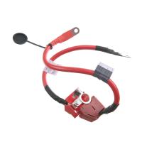 China Positive Battery Cable for BMW F30 F31 F34 F32 F35 F36 F80 F82 F83 for sale