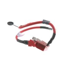 China Positive Battery Cable for BMW F30 F31 F34 F32 F35 F36 F80 F82 F83 for sale
