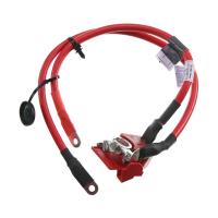 China Positive Battery Cable for BMW F20 F21 F22 F23 118i 220i 228i F87 M2 for sale