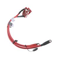 China Positive Battery Cable for BMW F20 F21 F22 F23 118i 220i 228i F87 M2 for sale