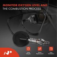 China 2x Downstream Left & Right O2 Oxygen Sensor for Audi A8 Quattro V8 4.2L 97-99 for sale