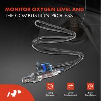 China 2x Downstream Left & Right O2 Oxygen Sensor for Chevrolet Corvette 97-03 5.7L for sale