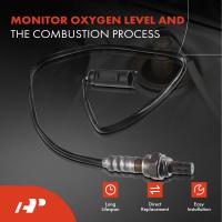 China Downstream O2 Oxygen Sensor for BMW E36 E53 318i 318is 318Ti 750iL X5 for sale