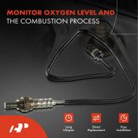 China Upstream O2 Oxygen Sensor for BMW M3 2001-2006 Z3 2001-2002 L6 3.2L for sale