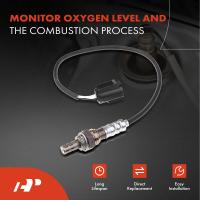 China Upstream Downstream O2 Oxygen Sensor for Dodge Dakota Ram Jeep Grand Cherokee for sale