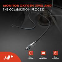 China Downstream O2 Oxygen Sensor for Ford Escape 2017-2019 EcoSport 18-21 1.0L 1.5L for sale