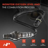 China 2x O2 Oxygen Sensor for Mercedes-Benz C280 CL500 E320 ML320 ML430 S500 SL600 for sale