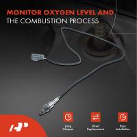 China Downstream O2 Oxygen Sensor for Land Rover Range Rover Evoque 2020 L4 2.0L B1S3 for sale