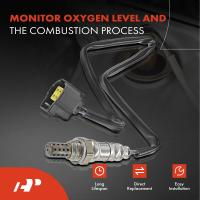 China Downstream O2 Oxygen Sensor for Mercedes-Benz C300 E350 S400 ML350 R350 for sale