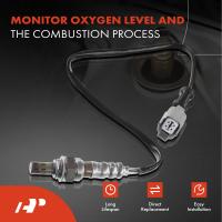 China 2x Downstream O2 Oxygen Sensor for Acura CL TL 3.2L Honda Accord Odyssey 3.5L for sale