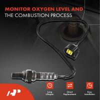China Upstream Downstream O2 Oxygen Sensor for Chrysler 300 Dodge Jeep VW Routan for sale