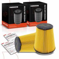 China 2x Engine Air Filter for Ford Mustang 2015-2022 V8 5.0L V8 5.2L for sale