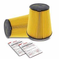 China 2x Engine Air Filter for Ford Mustang 2015-2022 V8 5.0L V8 5.2L for sale