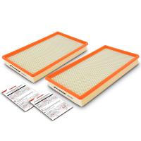 China 2x Engine Air Filter for Chevrolet Blazer Express 1500 GMC Yukon Pontiac Firebird for sale