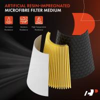 China Engine Air Filter for Ford Mustang 2015-2022 V8 5.0L V8 5.2L for sale