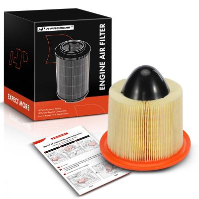 China Engine Air Filter for Ford E-150 E-250 Excursion F-150 F-250 Lincoln Navigator for sale