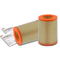 China 2x Engine Air Filter for Chevrolet Trailblazer 2002-2009 GMC Envoy Saab Buick for sale