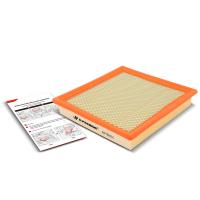 China Engine Air Filter for Ford F-150 Expedition F-250 F-350 F-450 Super Duty for sale
