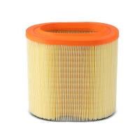 China Engine Air Filter for Ford F-250 F-350 F-450 F-550 Super Duty 2017-2019 for sale