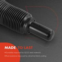 China Front Left or Right Air Suspension Strut for Audi A8 Quattro 11-17 S8 10-18 for sale