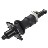 China Front Driver Air Suspension Strut for Audi Allroad Quattro 2001-2005 for sale
