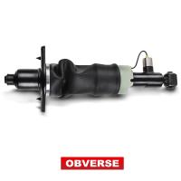 China Front Driver Air Suspension Strut for Audi Allroad Quattro 2001-2005 for sale