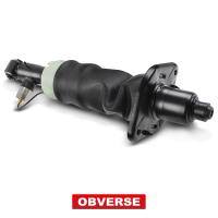China Front Driver Air Suspension Strut for Audi Allroad Quattro 2001-2005 for sale
