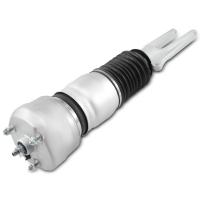 China Front Driver Air Suspension Strut for Porsche Panamera 2010-2013 for sale
